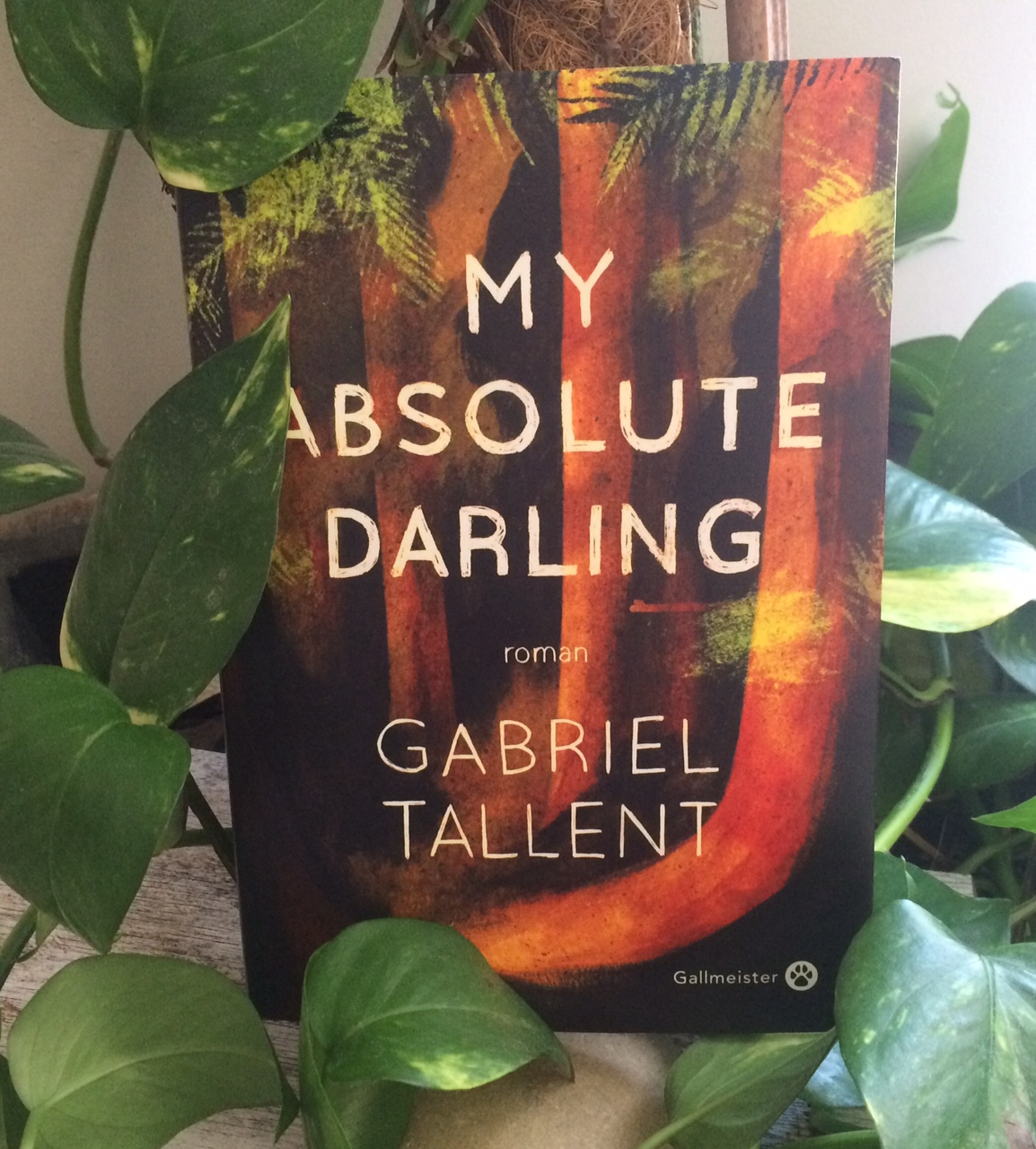 My absolute darling de Gabriel Tallent - HelloBeautyMag